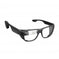 Envision Glasses: Professional Edition- AI-powered smartglasses ...